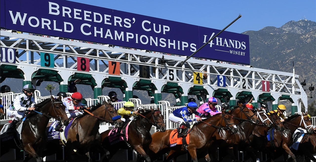 The Wine Tipster: "She looks the one to beat back on home turf and with ...