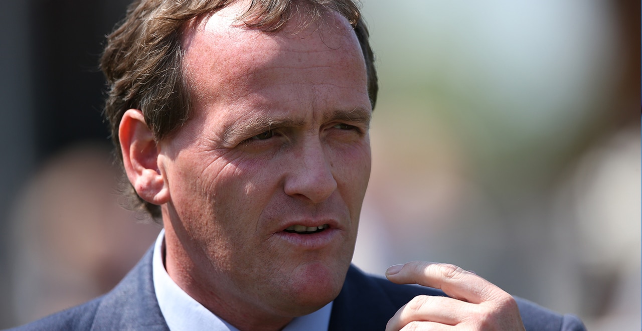 Richard Hannon: "The ground will be fine and I expect a very bold show ...