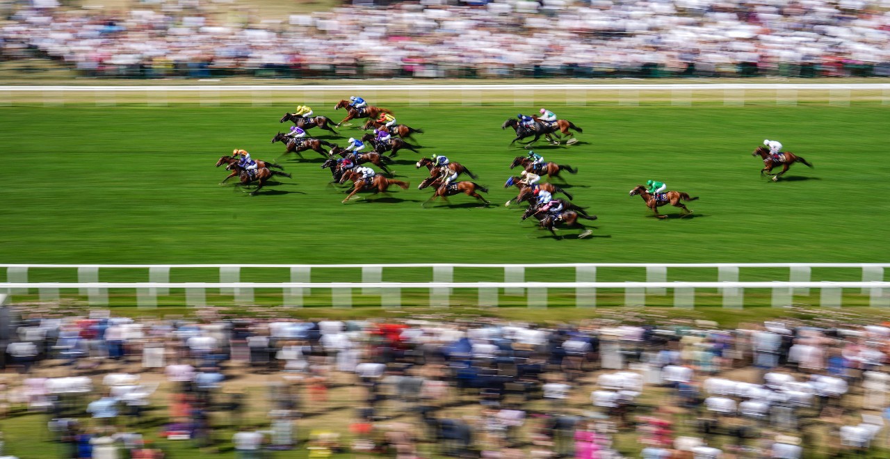 The Wine Tipster: "He will improve and looks the ideal type for this ...