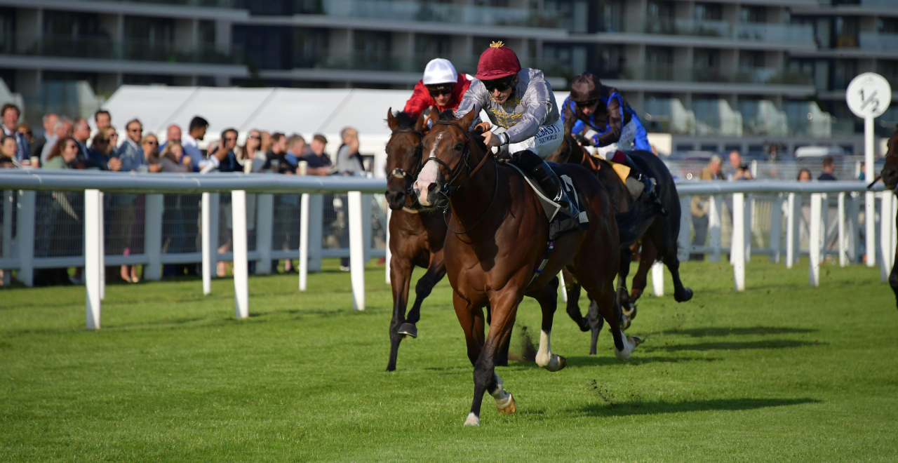 Richard Hannon: "She’s got loads of speed and has form on softish ...