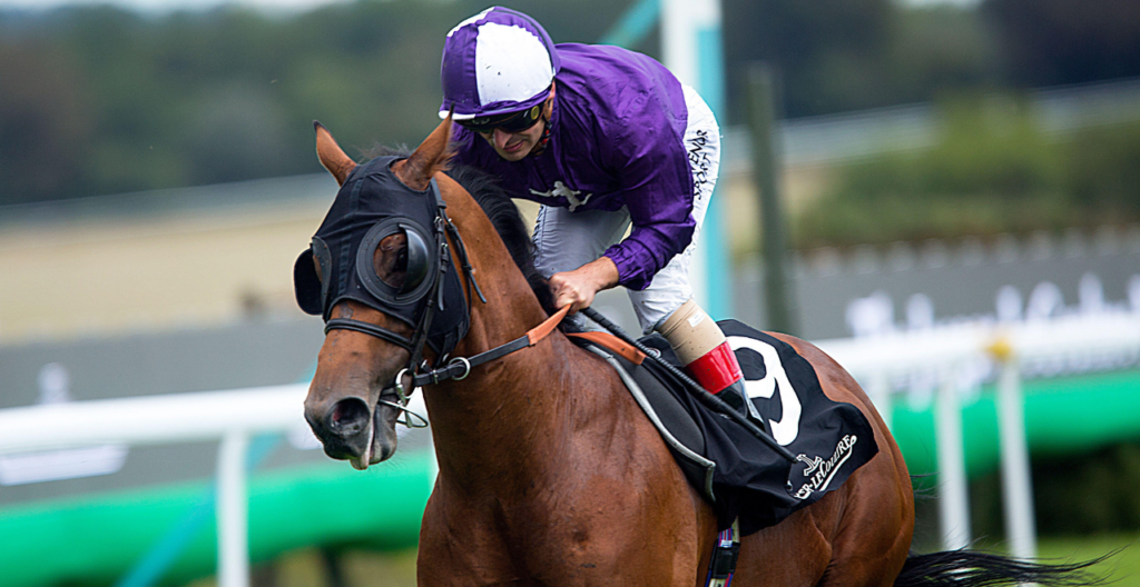 Richard Hannon, Author at Unibet Blog