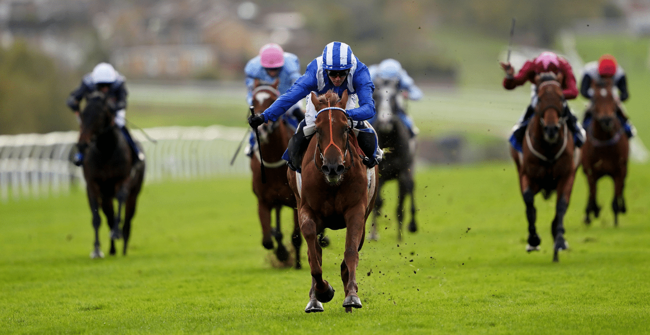 The Wine Tipster: "He looks rock solid to run his race once again ...