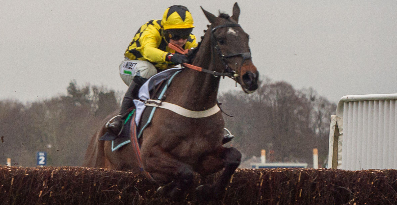 Nicky Henderson: An away day at Windsor will give us a few pointers ...