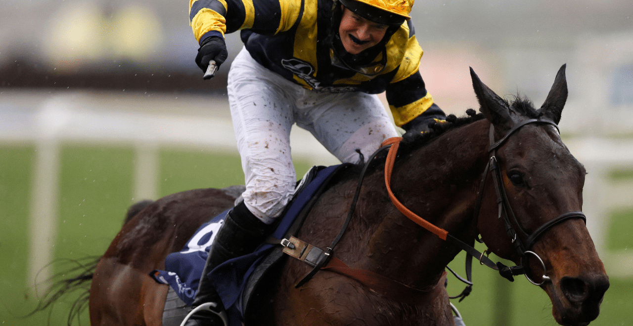 The Wine Tipster: "This 2022 Cheltenham Festival winner is right back ...